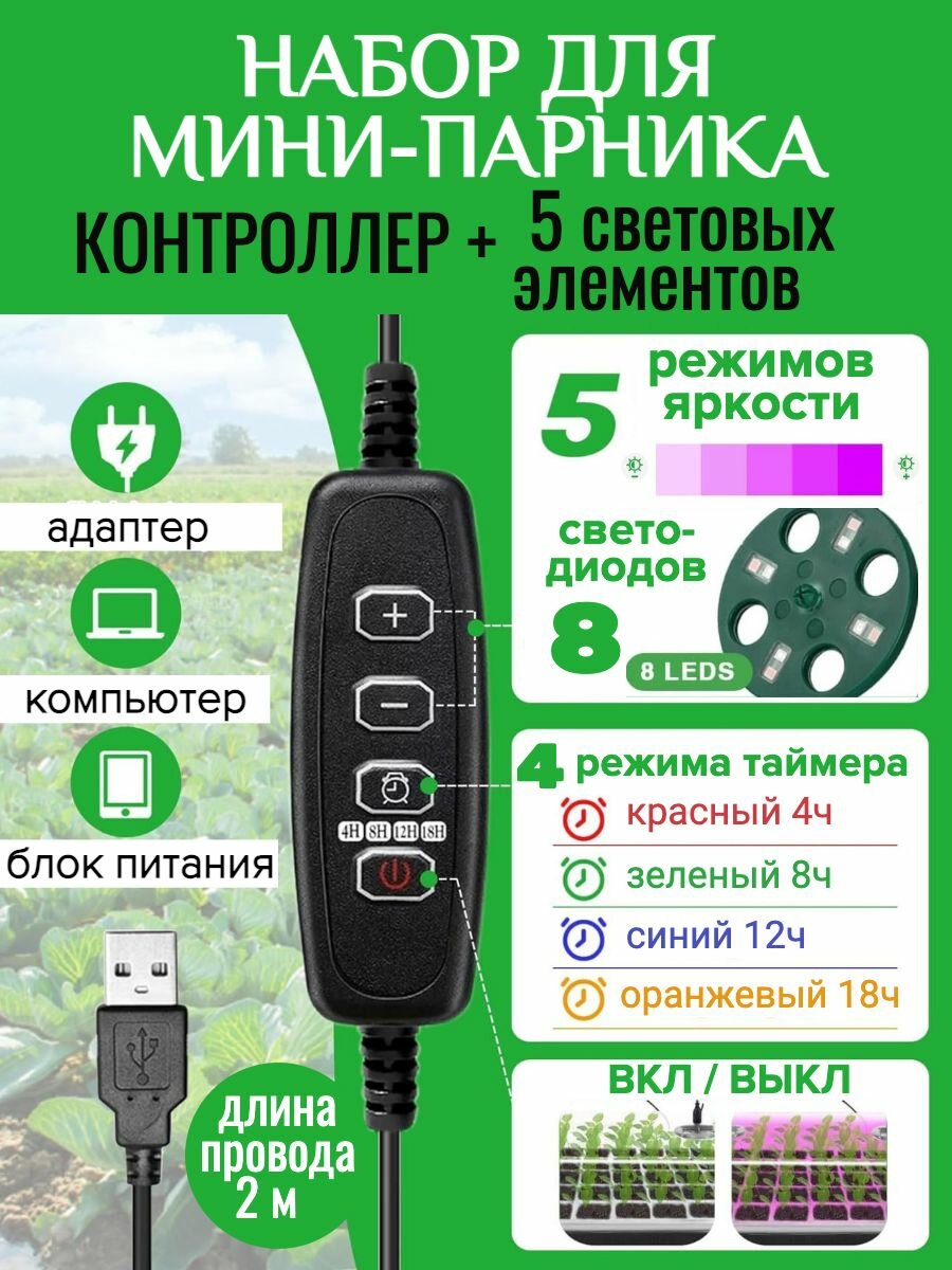 Комплект для рассады Миссвударт, на 5 ячеек, с подсветкой и таймером