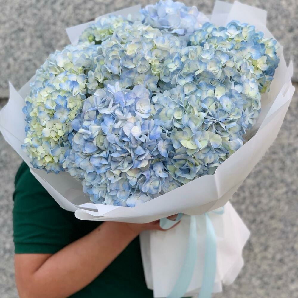 Букет цветов из 9 колумбийских голубых гортензий, высота 50 см