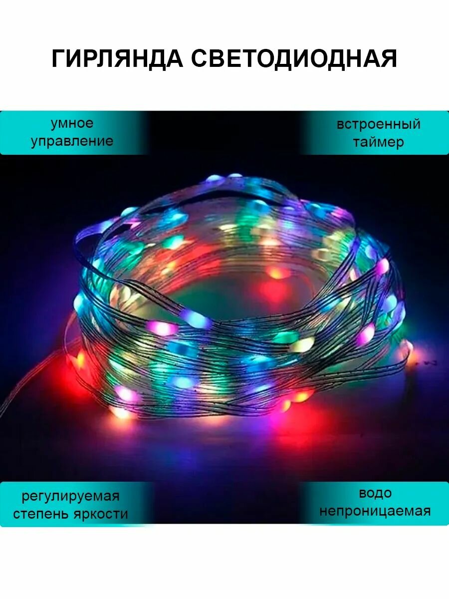 Гирлянда электрическая RGB 5 м
