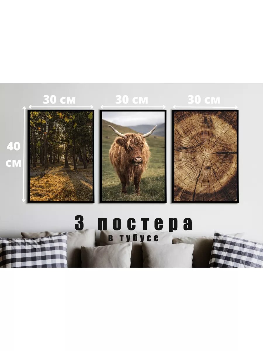 Осенние постеры в сканди стиле