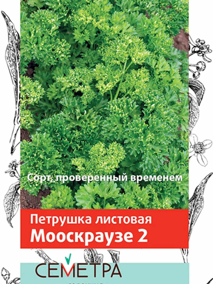 Петрушка Мооскраузе 2 3 г, Семена Поиск