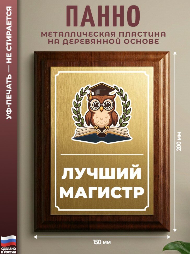 Настенный диплом "Лучший магистр"