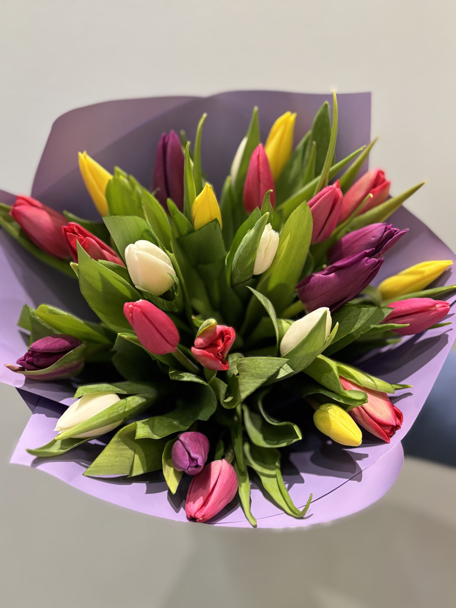 Букет живых цветов - 25 тюльпанов микс, размер М, высота 40 см, Голландия | Турбофлора