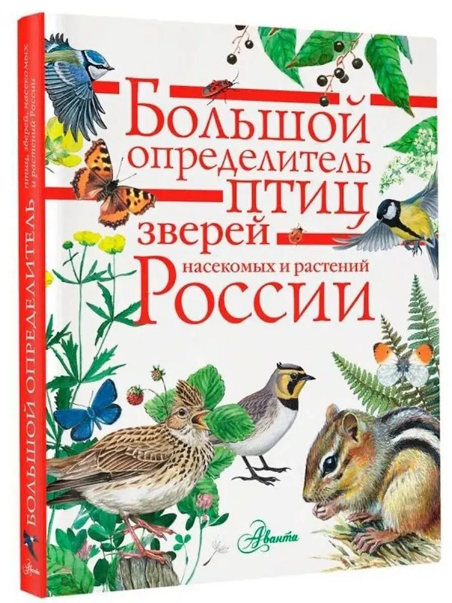 Петр Волцит. Большой определитель птиц, зверей, насекомых и растений России
