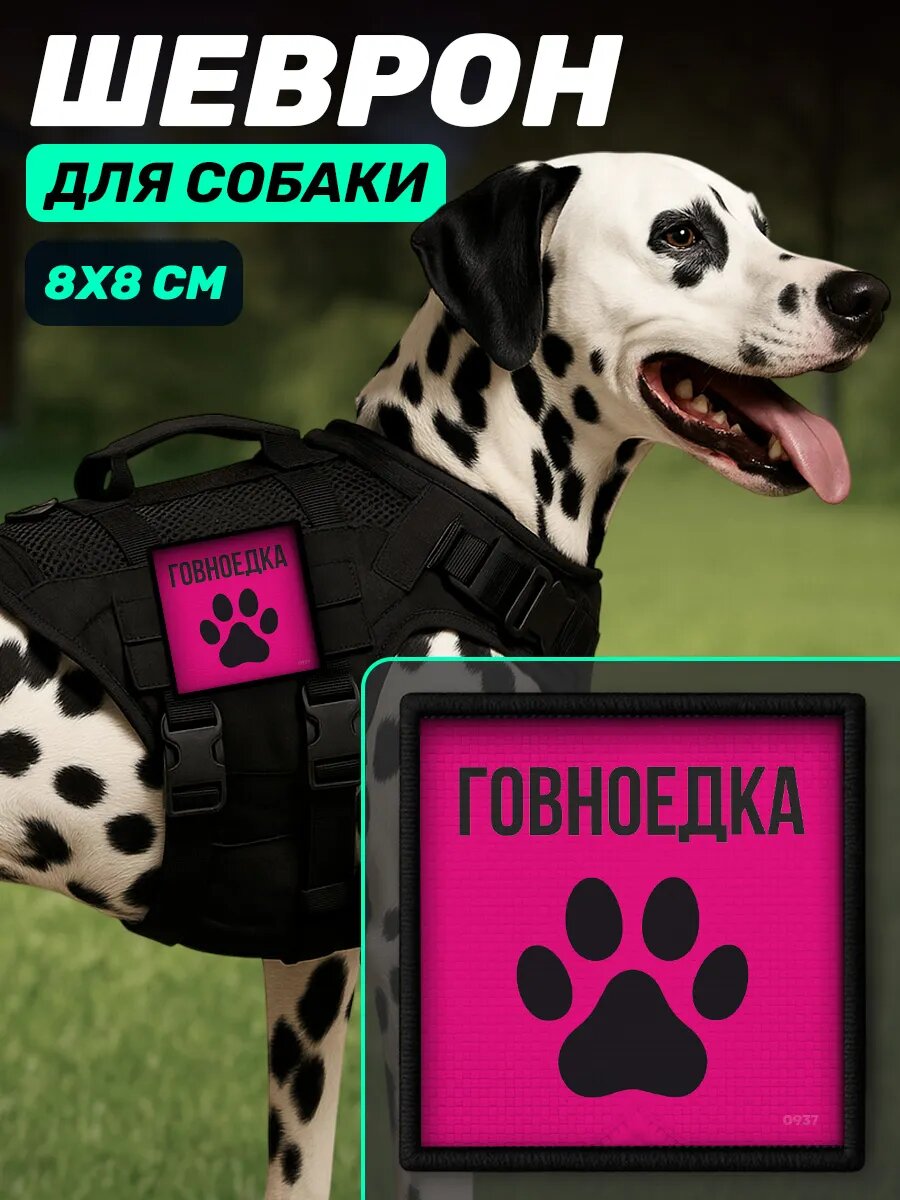 Шеврон на липучке для собак Говноедка