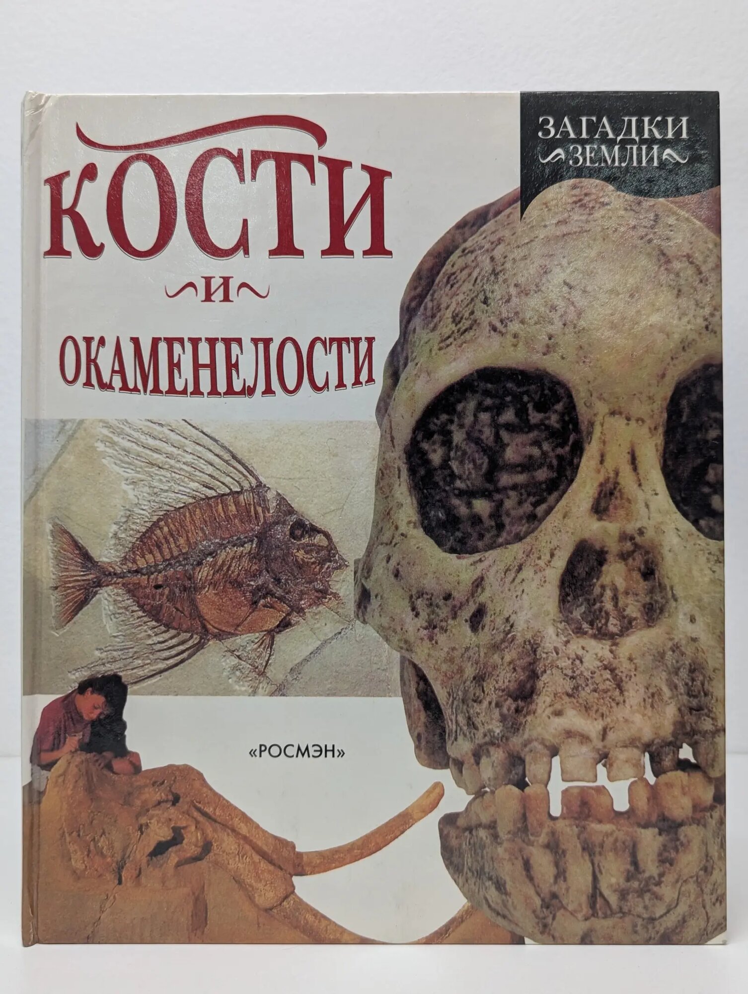 Кости и окаменелости Пиротта Сейвиор 1999