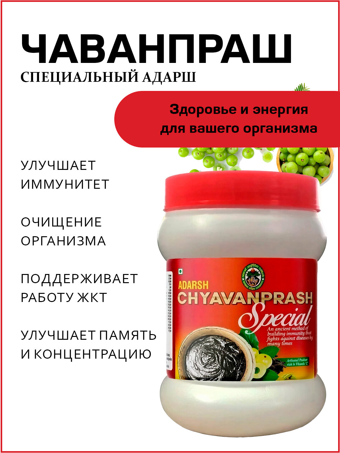 Чаванпраш Специальный Адарш / Chyavanprash Spesial Adarsh 500 гр