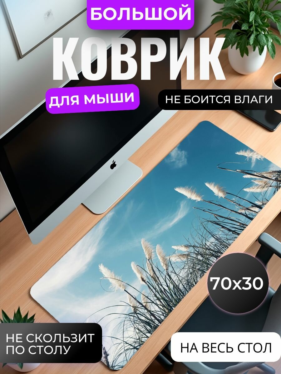 Коврик для мыши "Камыши" , 70х30 см