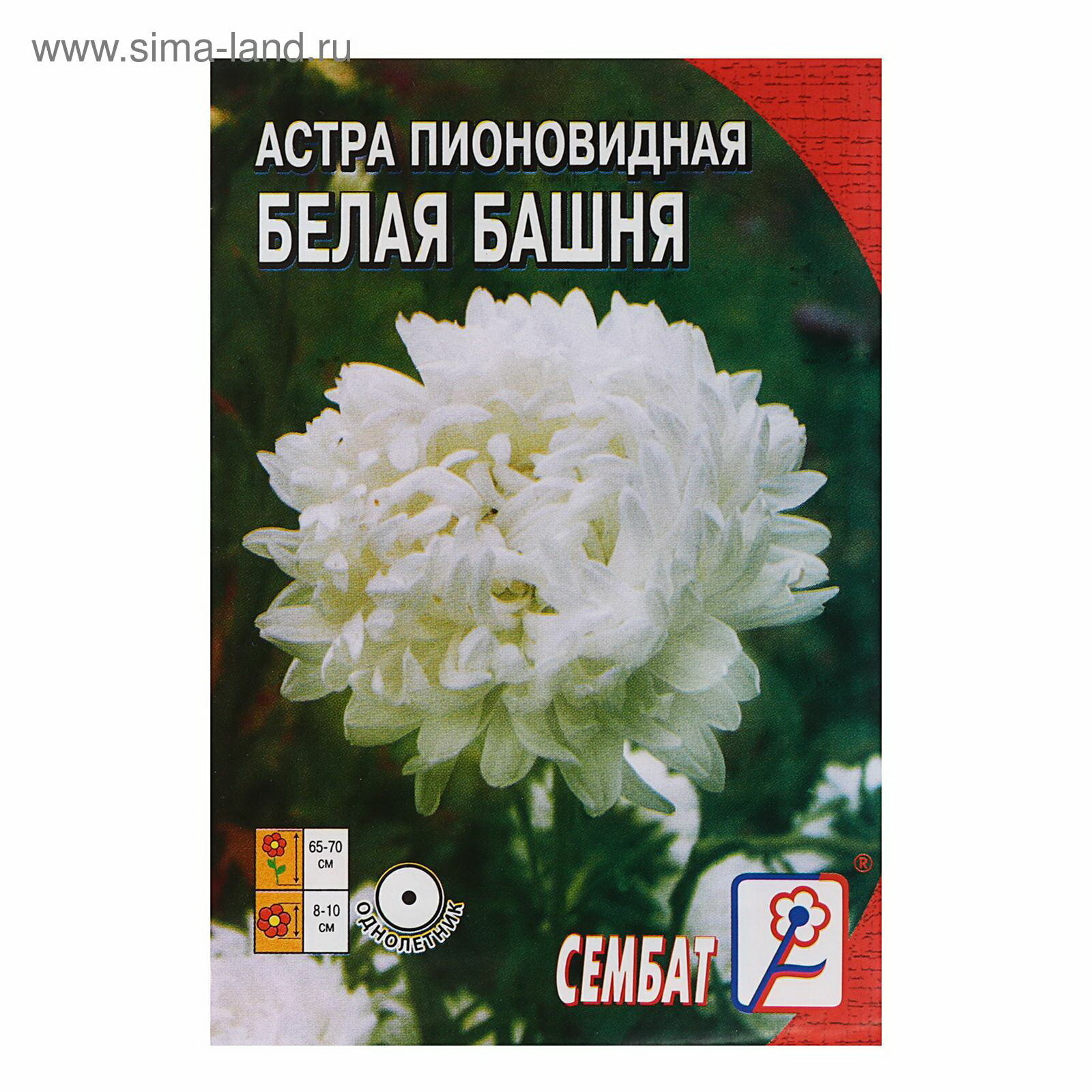 Семена цветов Астра пионовидная, белая, 0, 2 г, вид: астра, посев на рассаду: апрель, 3 шт.