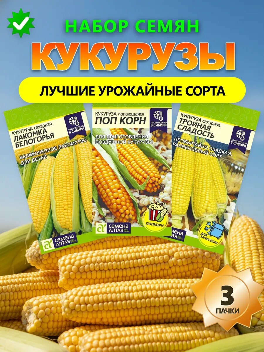 Набор семян кукурузы для открытого грунта и теплиц, 3 сорта, Семена Алтая