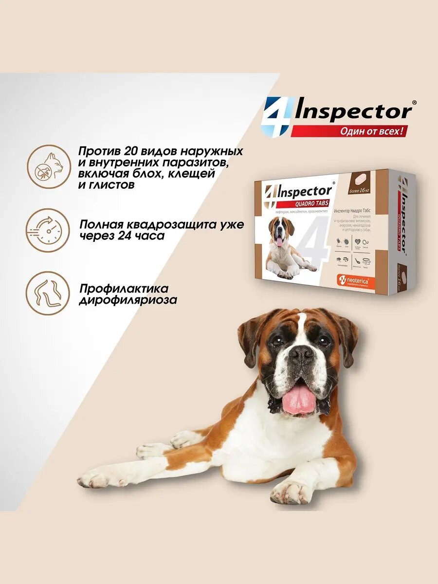 Inspector Quadro Tabs таблетки от паразитов для кошек и собак от 16 кг, 4 таб, бежевый — фото 1