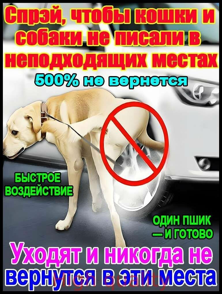 Самый популярный в 2026 годуСпрей-отпугиватель для кошек и собак Антигадин защита мебели и ковров от меток и царапания. Натуральный состав, мгновенное действие.