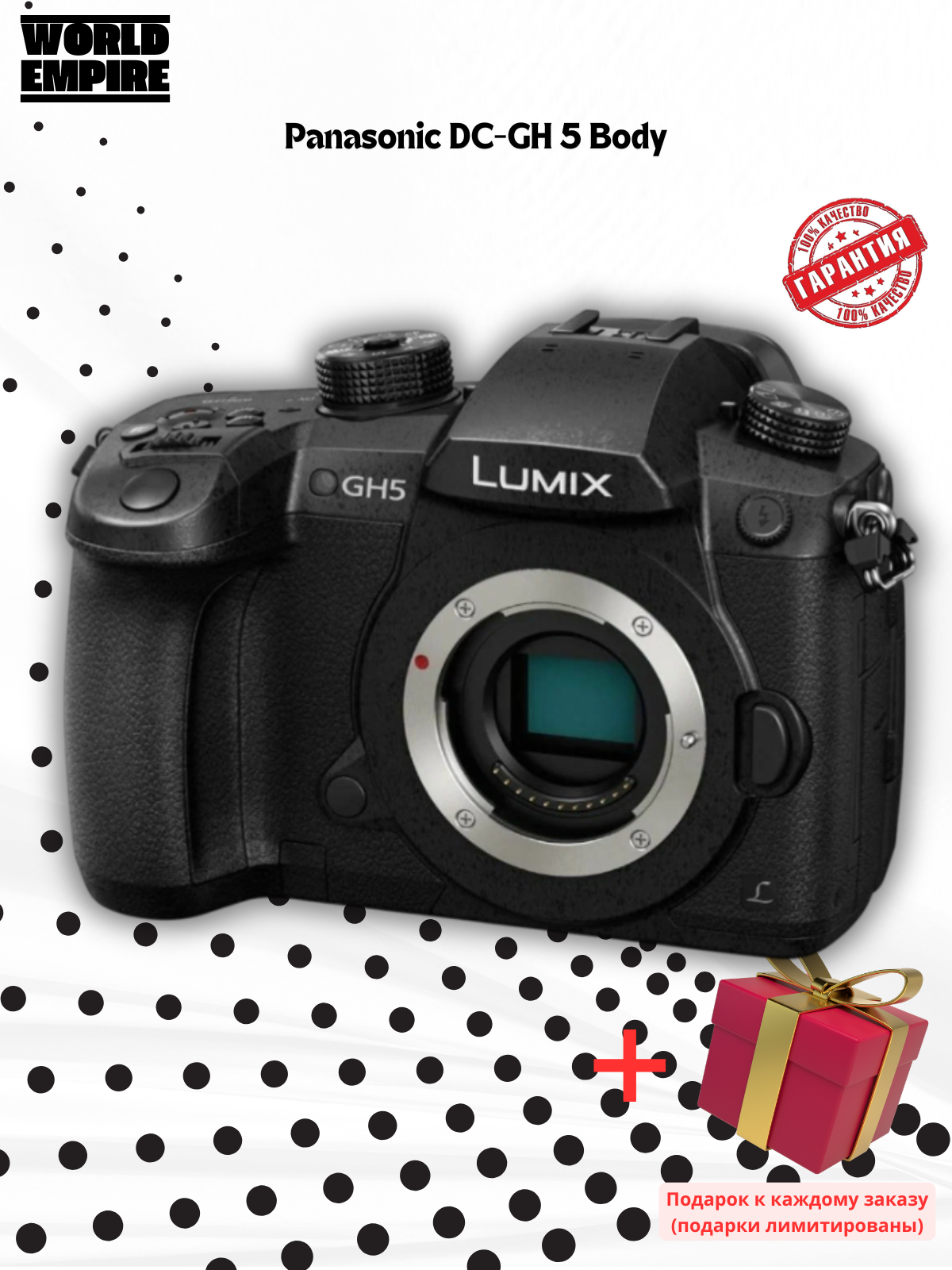 Фотоаппарат PANASONIC DC-GH 5 BODY