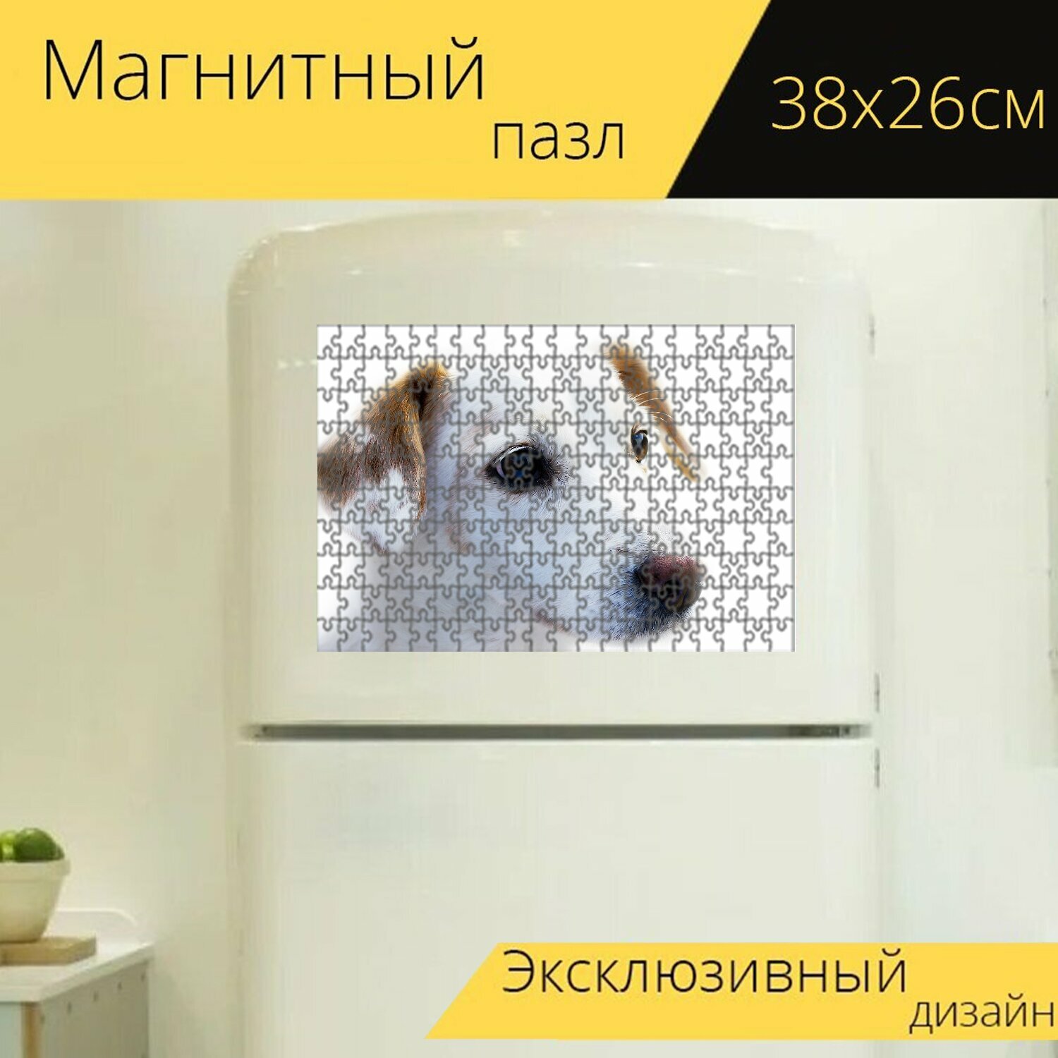 Магнитный пазл "Собака Собака - фон собака животное друг верность радость моя семья сторожевой таймер взрослый один фон яркий собачка внутренний еда глаз." для интерьера, 38х26 см.