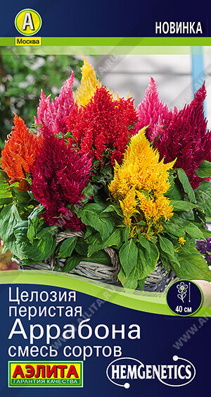 Семена цветов аэлита "Целозия Аррабона", однолетние, смесь сортов, 7 шт.