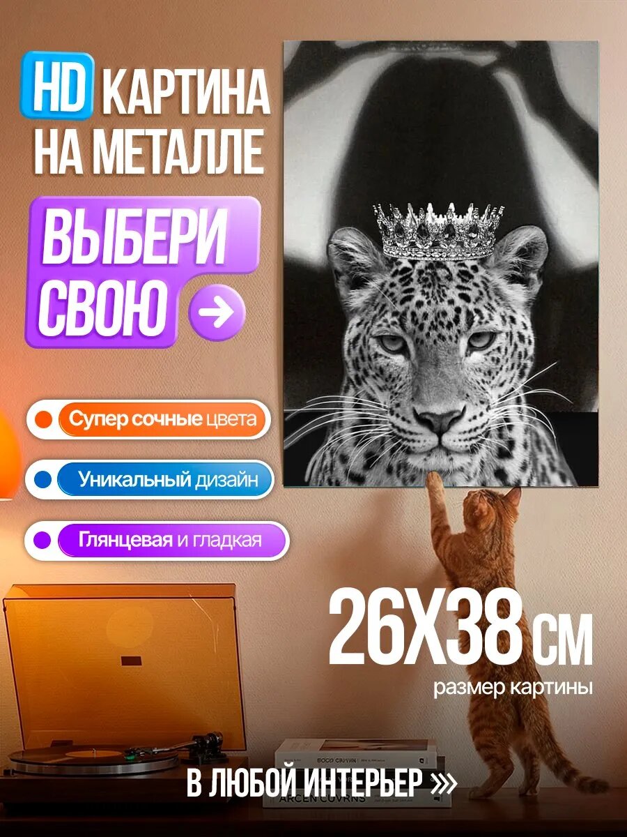 Картина на HD металле Леопард в короне