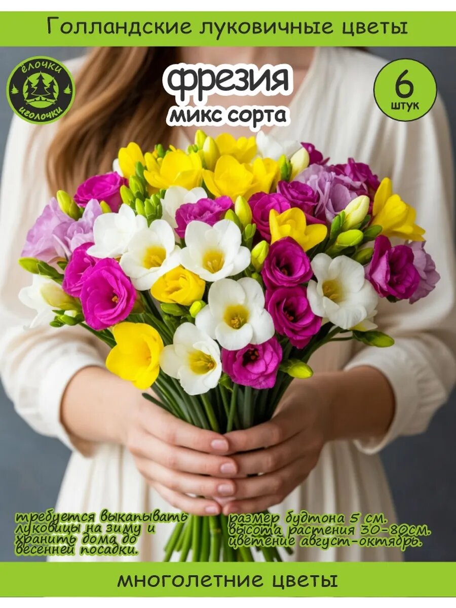 Луковица, Фрезия микс сортов 6 шт