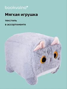 Мягкая игрушка Кот прямоугольный (23х20), Bookvalno