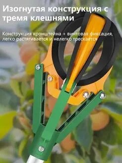 Плодосборникх20 — фото 1