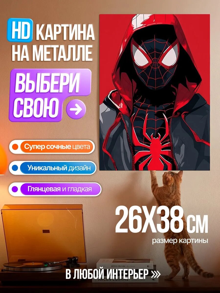 Картина на HD металле Майлз Моралес в капюшоне