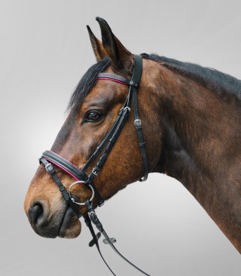 Уздечка Bridle Diamond (WALDHAUSEN, Германия)