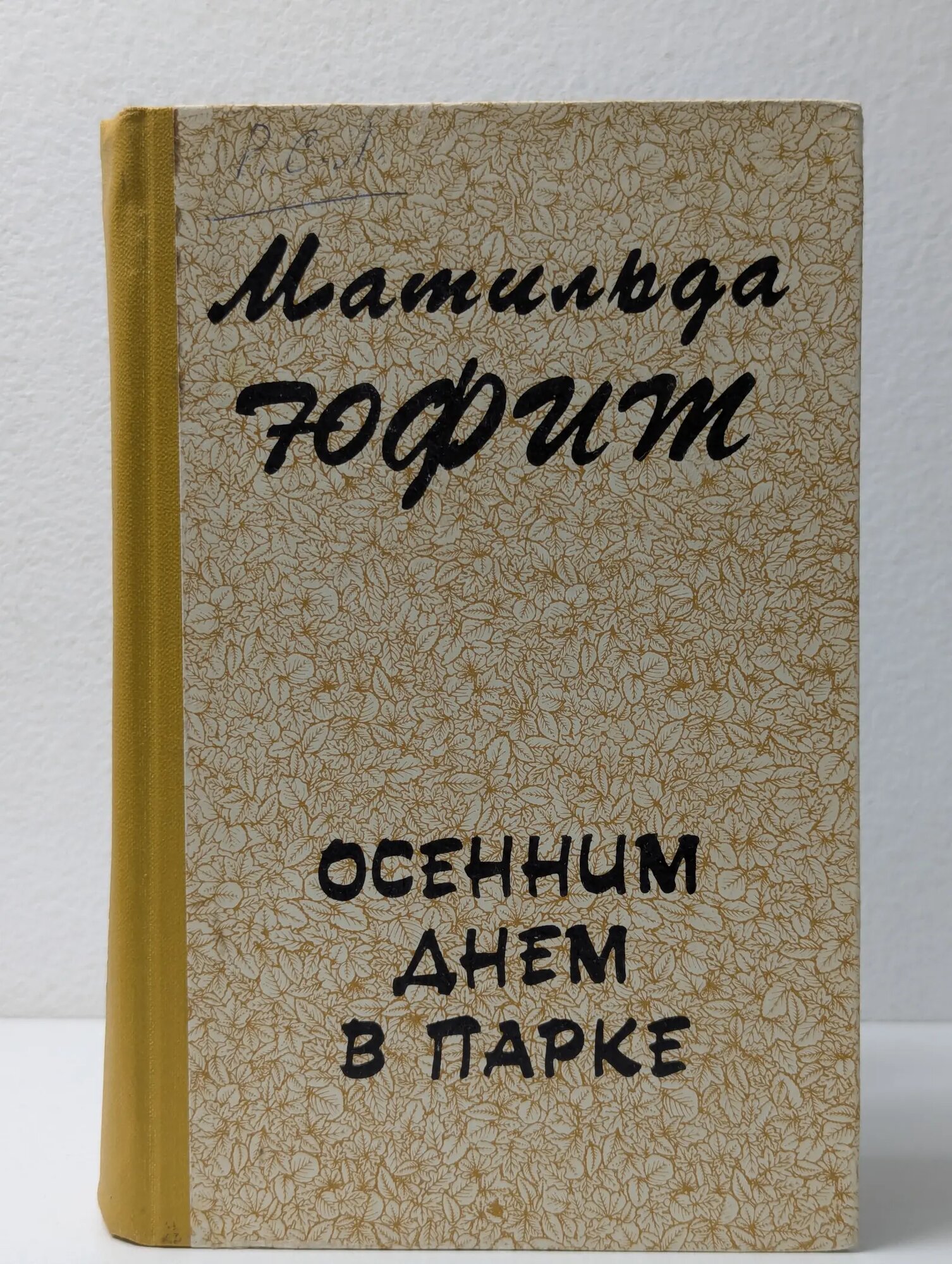 Осенним днём в парке Гофит Матильда Иосифовна 1980