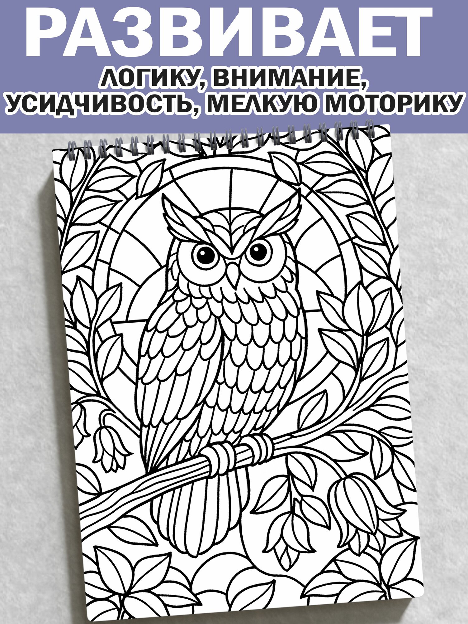 Раскраска Совы — фото 1