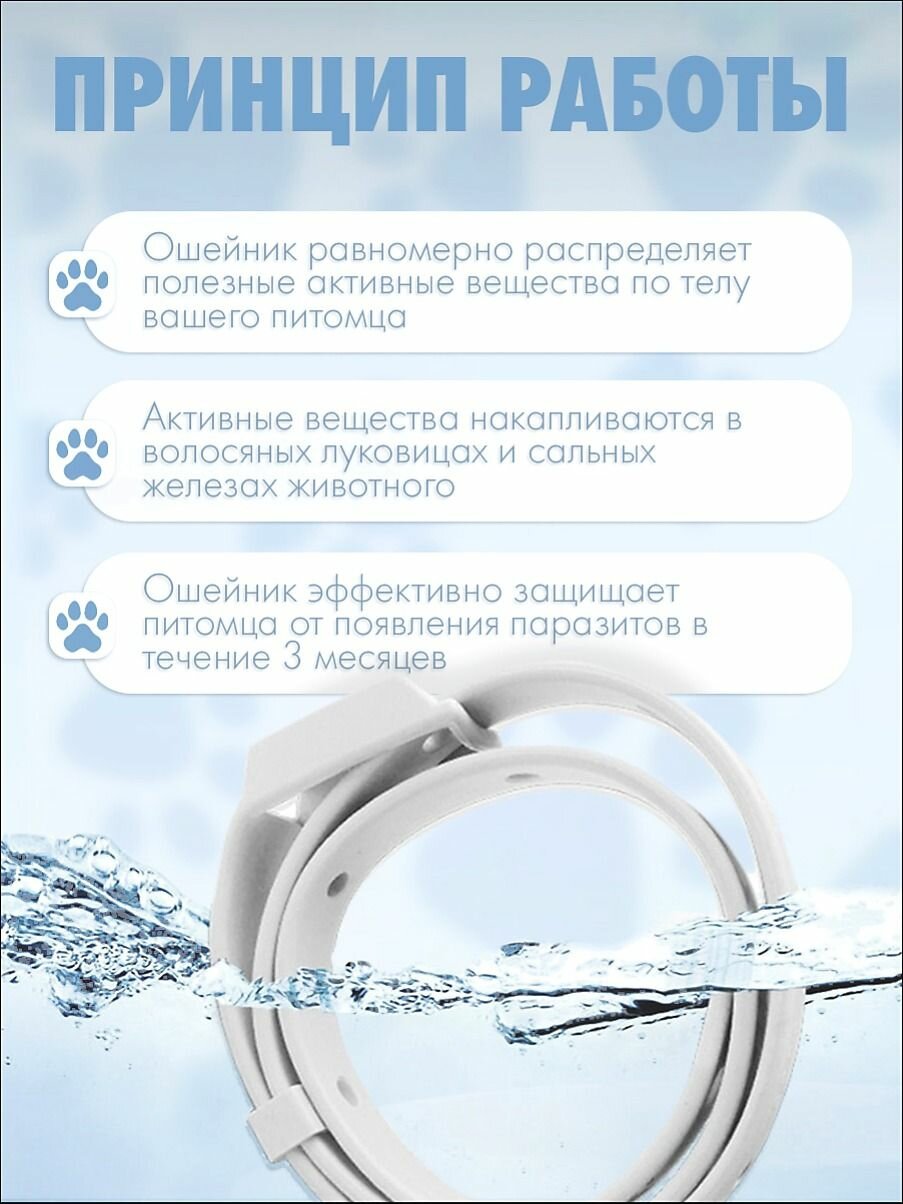Ошейник, для кошек, каучуковый, противопаразитарный, M, слоновая кость