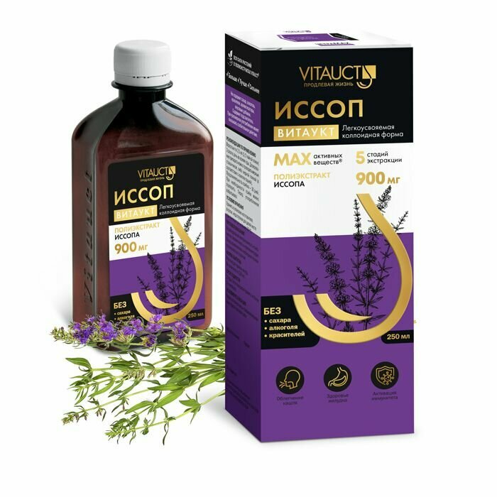 Иссоп VITAUCT "Витаукт", комплексное оздоровление, для иммунитета, ЖКТ, 250мл