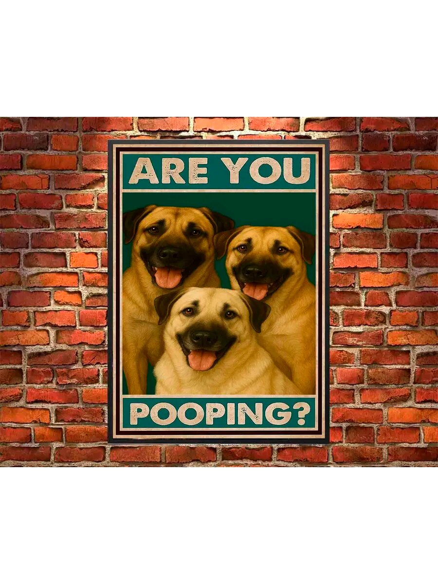 Анатолийская овчарка, Are You Pooping, Плакат 30x42см