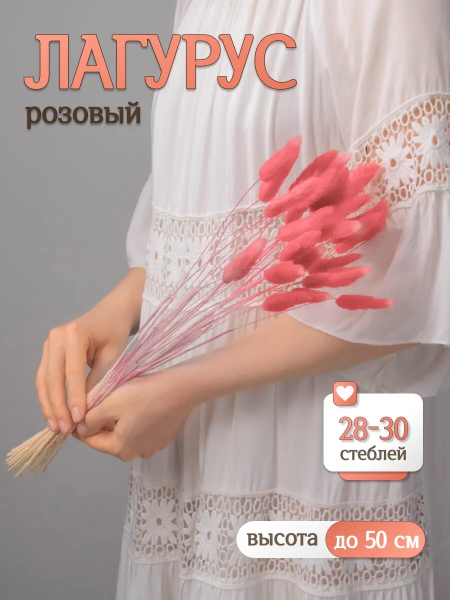 Лагурус розовый 30 шт, сухоцветы розовые для декора