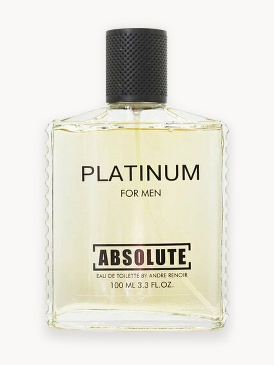 Туалетная вода мужская Absolute Platinum, 100 мл, древесный и фужерный аромат (по мотивам Egoiste Platinum (Chanel)