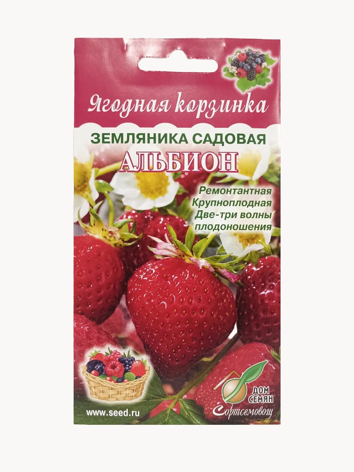 Земляника Садовая Ремонтантная Альбион крупноплодная с 2-3 волнами плодоношения, 30 семян