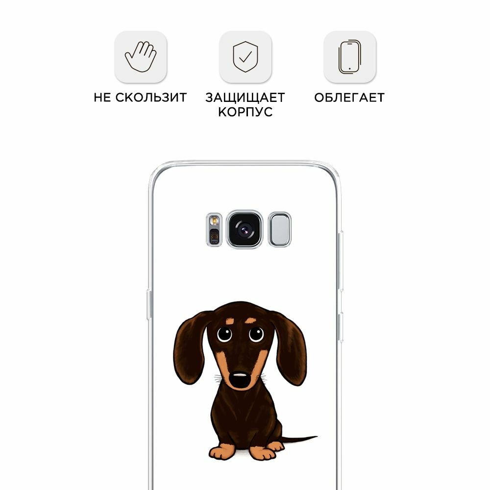 Чехол на Samsung Galaxy S8 / Самсунг Галакси С8 с принтом "Маленькая такса" — фото 1