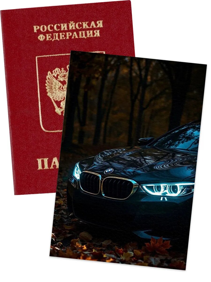 Обложка для паспорта