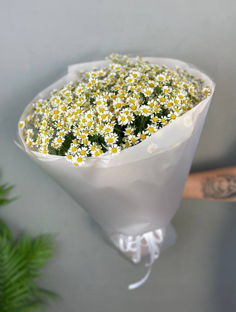 Полевой букет из ромашек кустовых BOTANIQUE FLOWER 21 шт в упаковке, нежный букет цветов