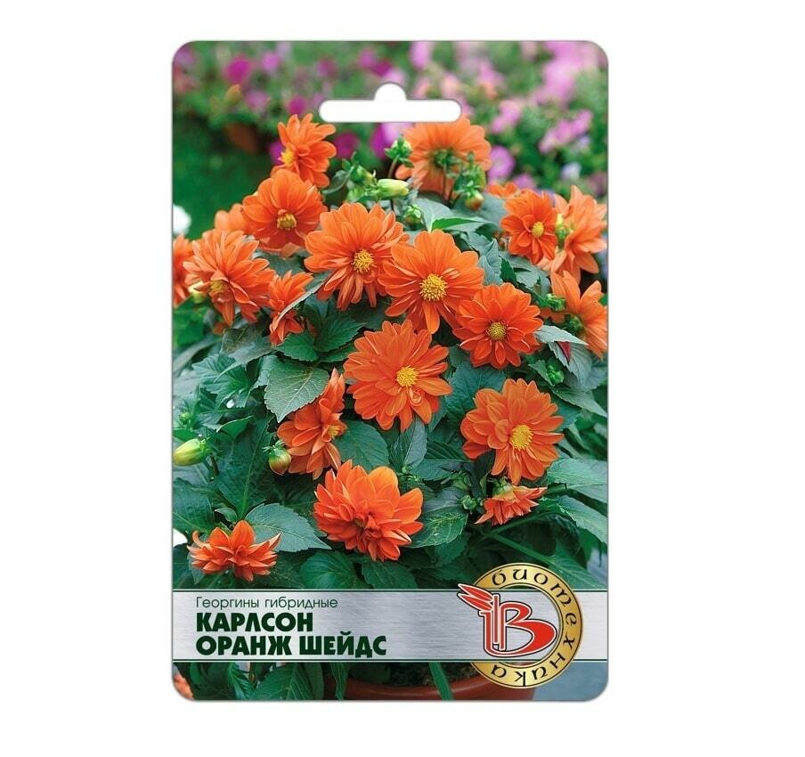 Семена Георгины гибридные Карлсон Оранж Шейдс АГ Биотехника