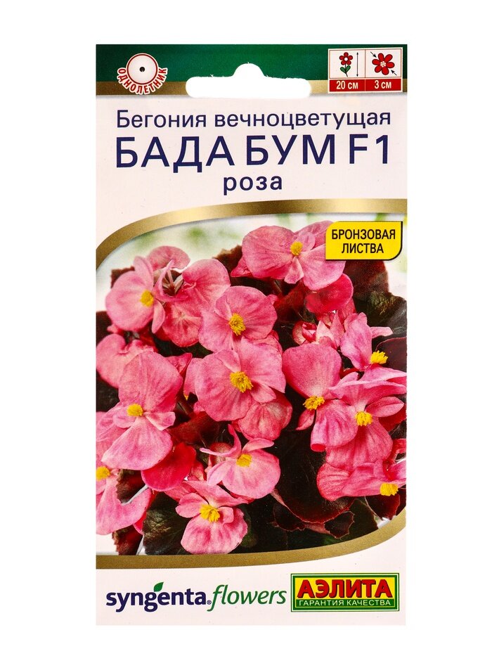 Семена цветов Бегония Бада бум F1 роза (драже в пробирке) Спецсерия Syngenta, Ц/П,5 шт. 10945366