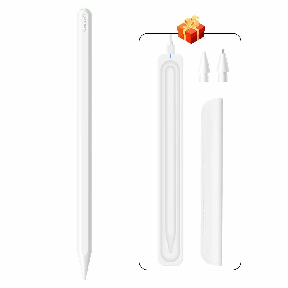 Стилус для Apple Pencil 2 с 2 накониками, зарядкой и чехлом