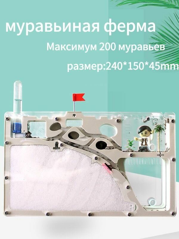 Муравьиная ферма