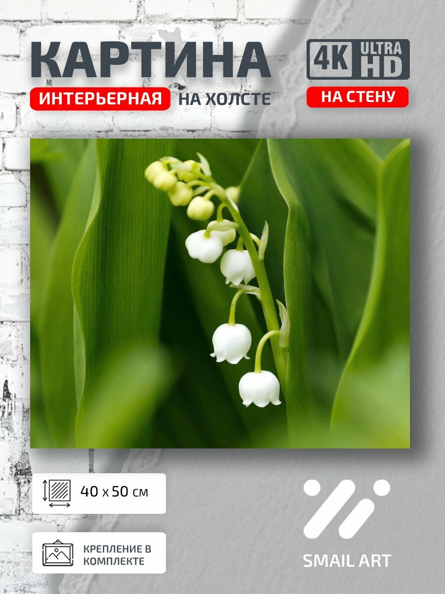 Картина на холсте интерьерная 40 на 50 на стену Белые Landscape для кафе пейзаж интерьер