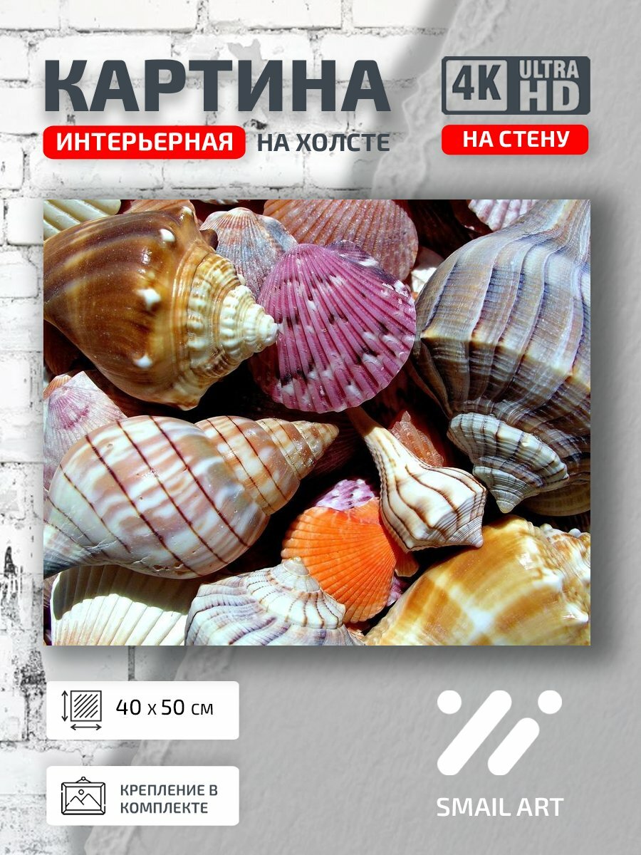 Картина на холсте интерьерная 40 на 50 на стену Ракушек Landscape для гостиной пейзаж декор