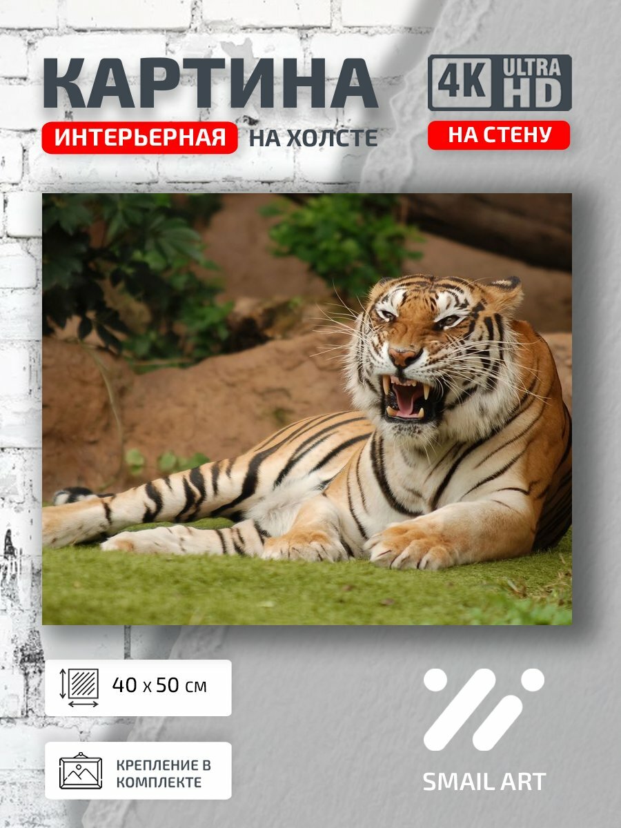 Картина на холсте интерьерная 40 на 50 на стену Трава Animal для кабинета animal style