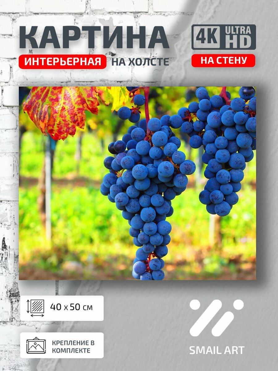 Картина на холсте интерьерная 40 на 50 на стену Винограда Landscape для офиса пейзаж декор
