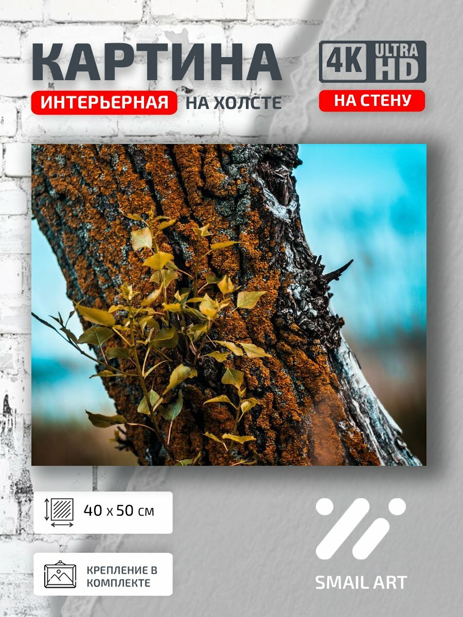 Картина на холсте интерьерная 40 на 50 на стену Мох Landscape для офиса пейзаж интерьер