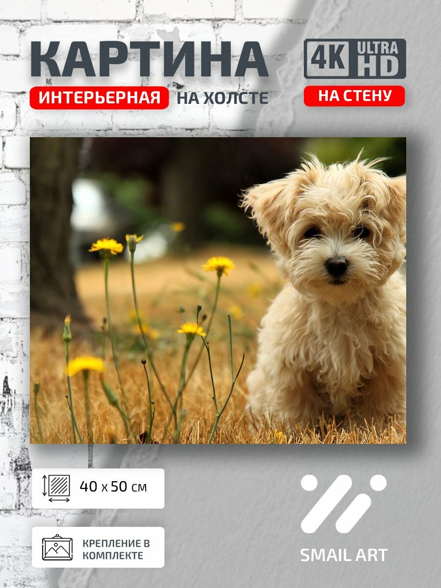 Картина на холсте интерьерная 40 на 50 на стену Пес Mood для офиса атмосфера интерьер декор