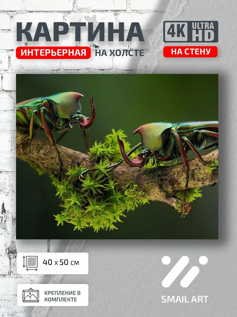 Картина на холсте интерьерная 40 на 50 на стену Ветка Macro для офиса макро интерьер декор