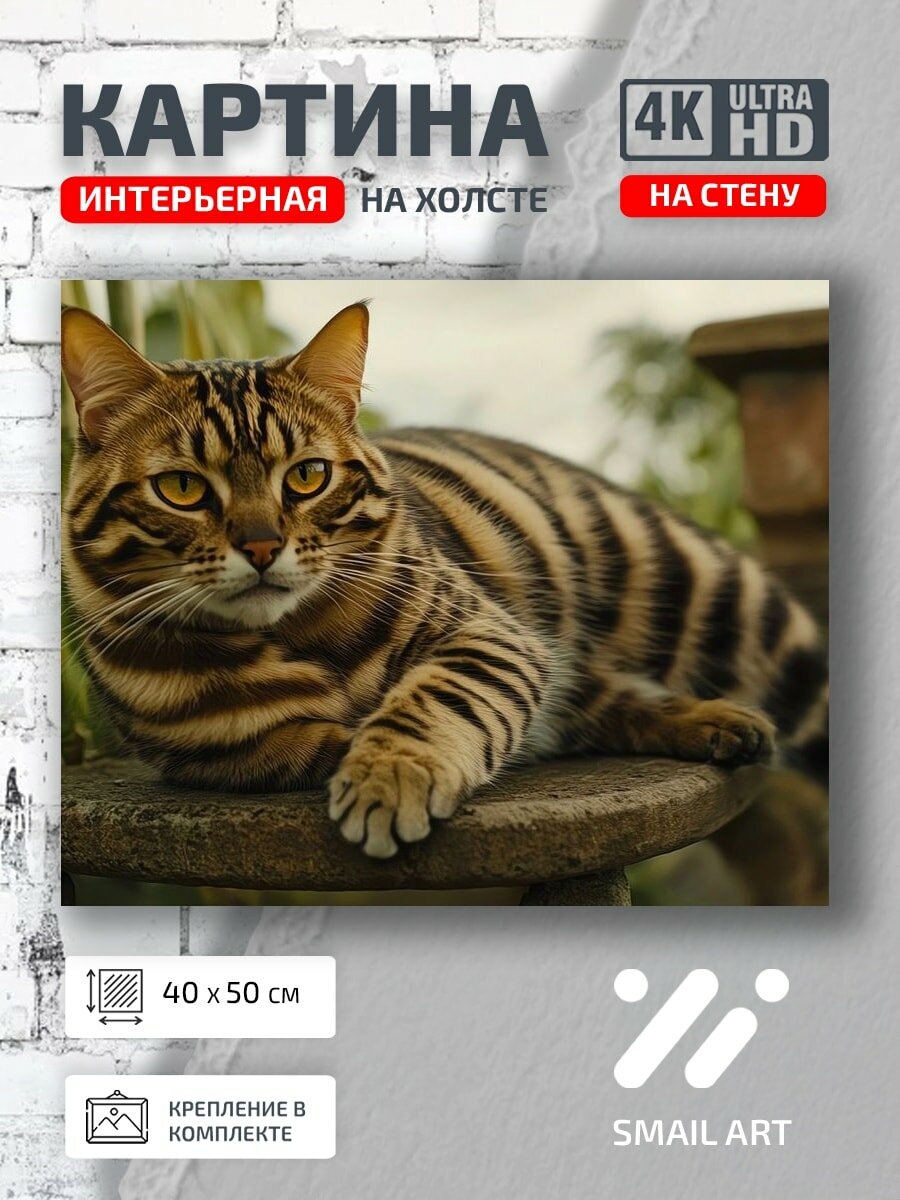 Картина на холсте интерьерная 40 на 50 на стену Леопардовый кот для студии атмосфера