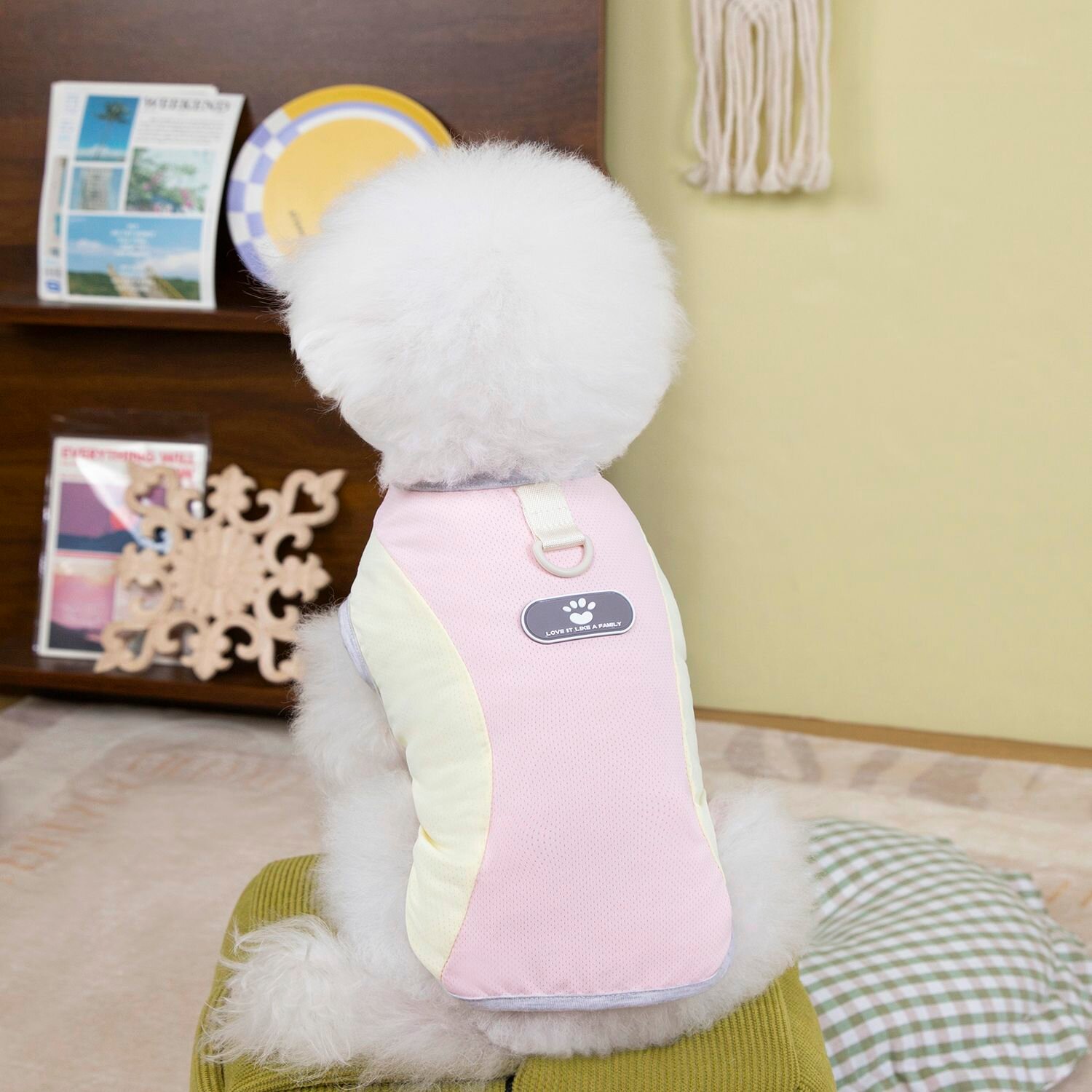 Модное летнее питомниковое боди для щенков уникальный стиль и комфорт для вашего питомца