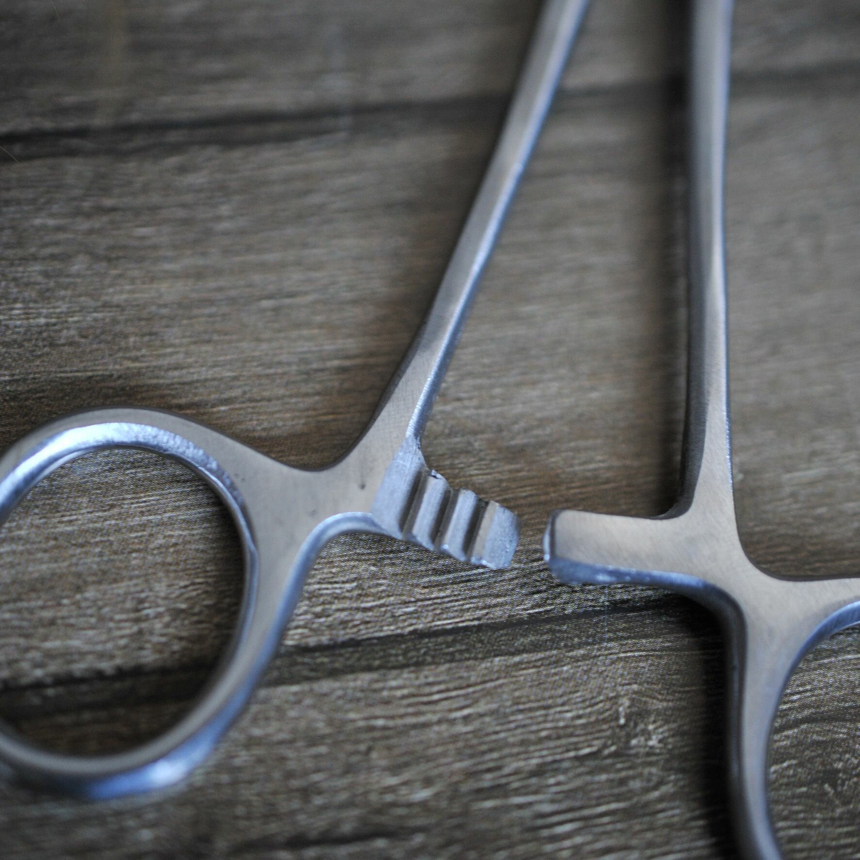 Зажим рыболовный + зевник для рыбы / Ножницы (экстрактор) для рыбалки / Набор для рыбалки